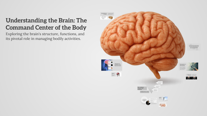 Understanding the Brain: The Command Center of the Body by Yogesh Patel ...