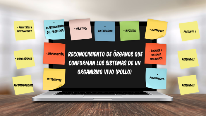 Observación y reconocimiento de sistemas de un pollo by Diego Jc on Prezi