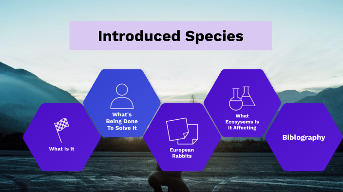Introduced Species by Bailey Allen on Prezi