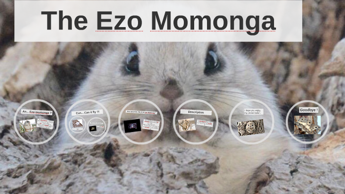 The Ezo Momonga by Meli Lechat on Prezi