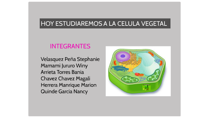 LA CELULA VEGETAL by stephanie velasquez peña on Prezi