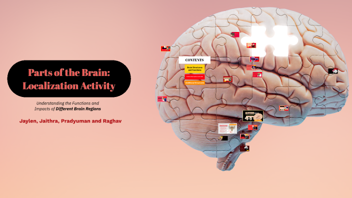 Parts of the Brain: Localization Activity by JS - 11ZZ 902922 Harold M ...