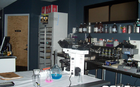 CSI Reality vs Television by Joshua Gray on Prezi