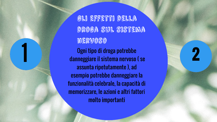 La droga e gli effetti sul sistema nervoso by Filippo Di Chiara on Prezi
