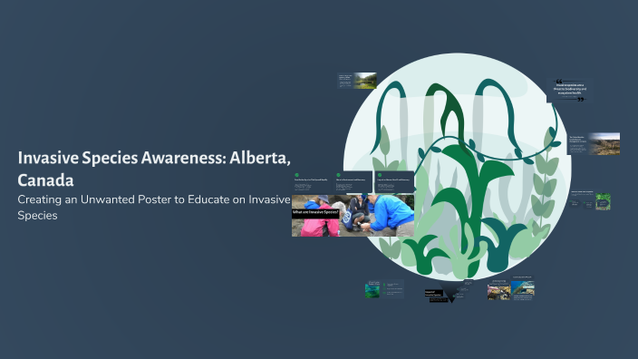 Invasive Species Awareness: Alberta, Canada by on Prezi