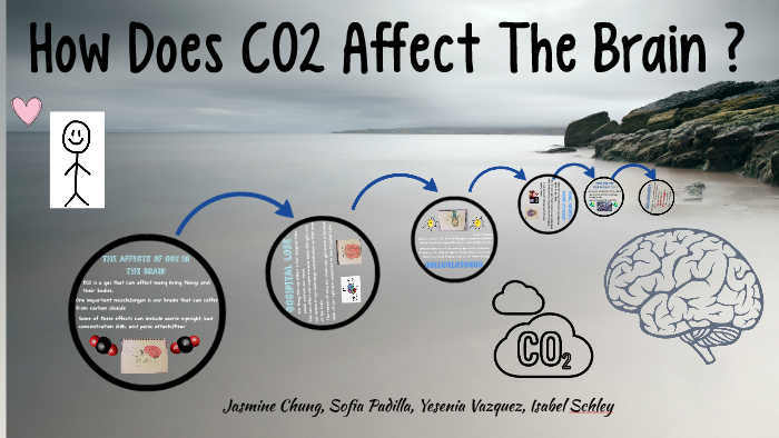 How Does CO2 Affect The Brain by jasmine chung on Prezi