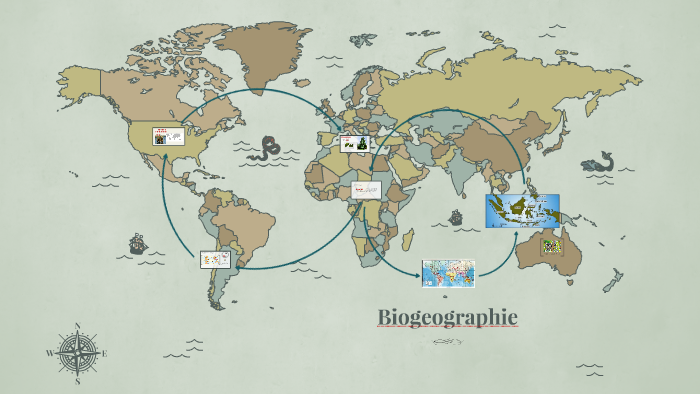 Biogeographie by Lina Rose on Prezi
