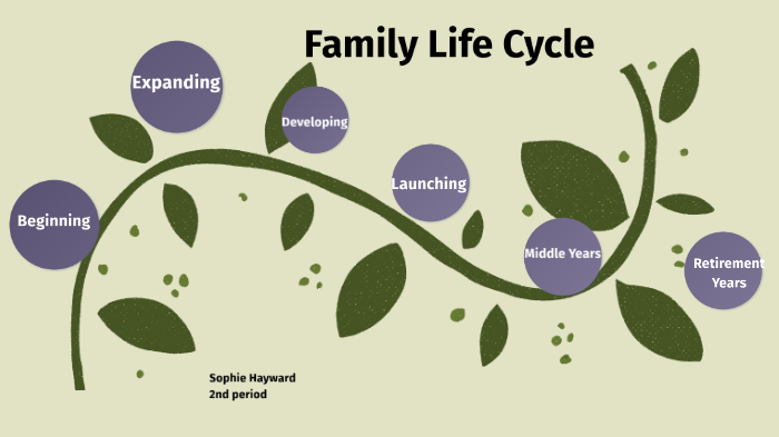 Family Life Cycle by sophie hayward on Prezi