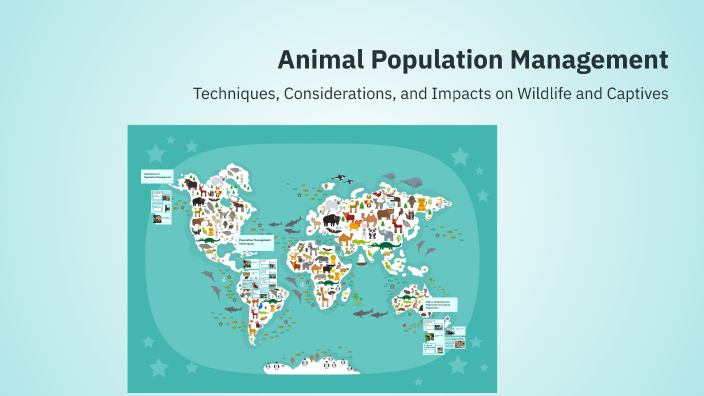 Animal Population Management by Jemma Watson on Prezi