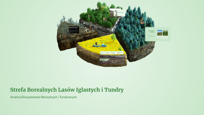 Strefa Borealnych Lasów Iglastych i Tundry by Kuba Zielecki on Prezi