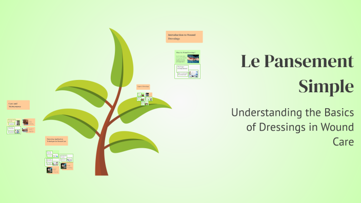 Le Pansement Simple by S'marty yt on Prezi