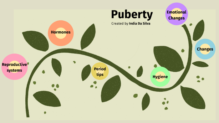 Puberty Assignment by India Da Silva on Prezi