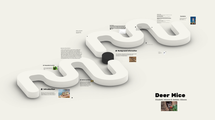 Deer Mice by Elizabeth Johnson on Prezi