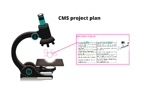 CMS project plan by Sisen Sensy on Prezi