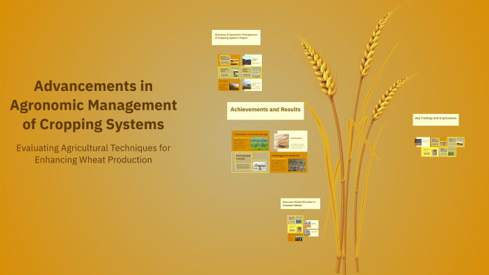 Advancements in Agronomic Management of Cropping Systems by Yidnekachew ...