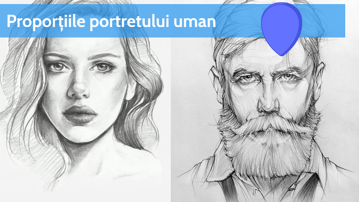 Proporțiile portretului uman by Timofte Andreea on Prezi