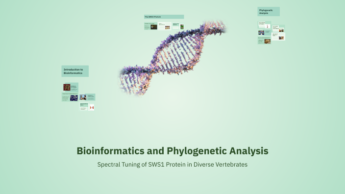 Bioinformatics and Phylogenetic Analysis by Vanessa blackwood on Prezi