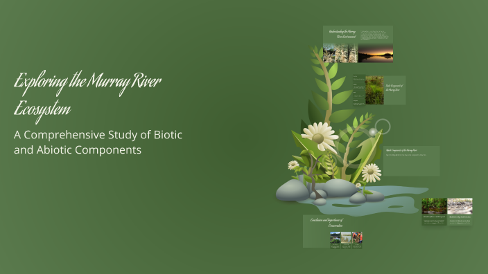 Exploring the Murray River Ecosystem by Tommy Hanson on Prezi