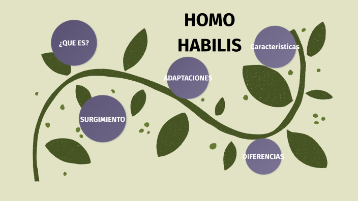 Homo Habilis by marley moreno on Prezi