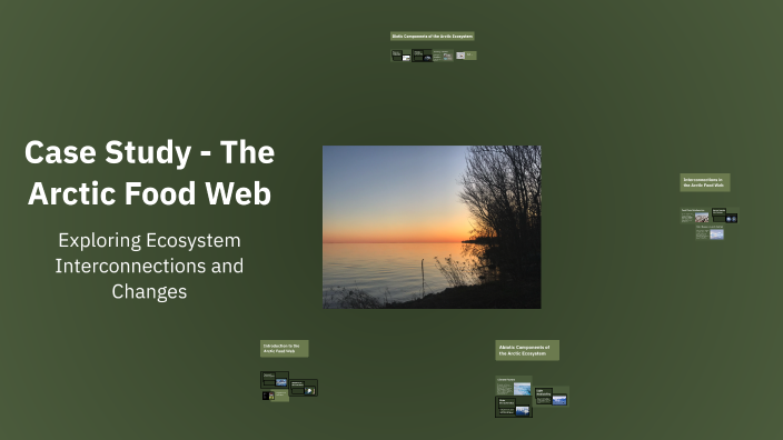 Case Study - The Arctic Food Web by Cheyney Chevrier on Prezi