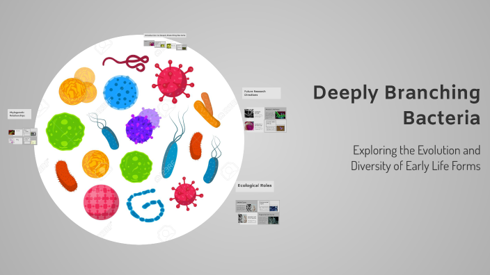 Deeply Branching Bacteria by Clarence Chiunye on Prezi