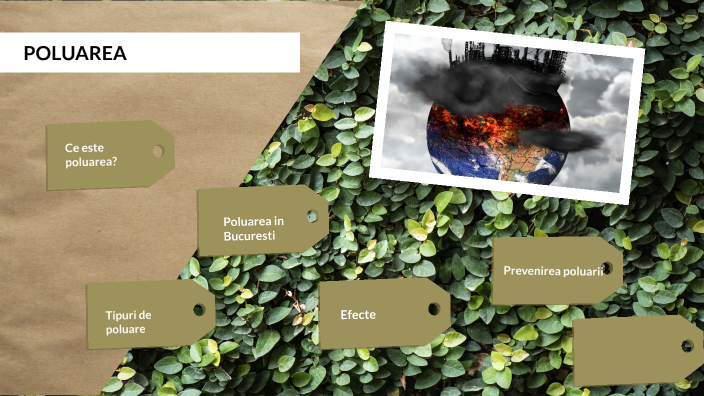 POLUAREA by NEGOIȚĂ ANDREEA TEODORA on Prezi