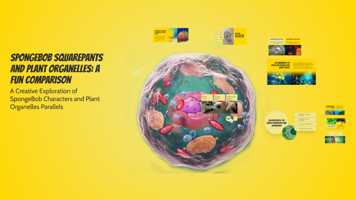 SpongeBob SquarePants and Plant Organelles: A Fun Comparison by ...