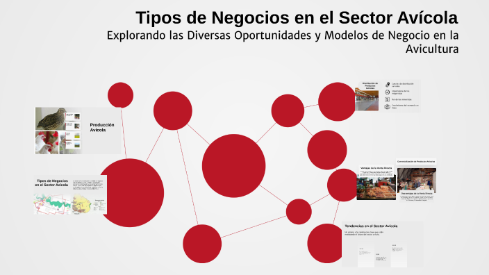 Tipos de Negocios en el Sector Avícola by Adele Morales on Prezi