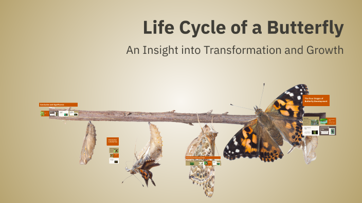 Life Cycle of a Butterfly by Annie Morris on Prezi