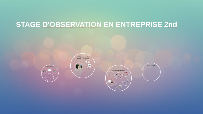 Stage d'observation en entreprise 2nd by Pauline CHARACHON on Prezi