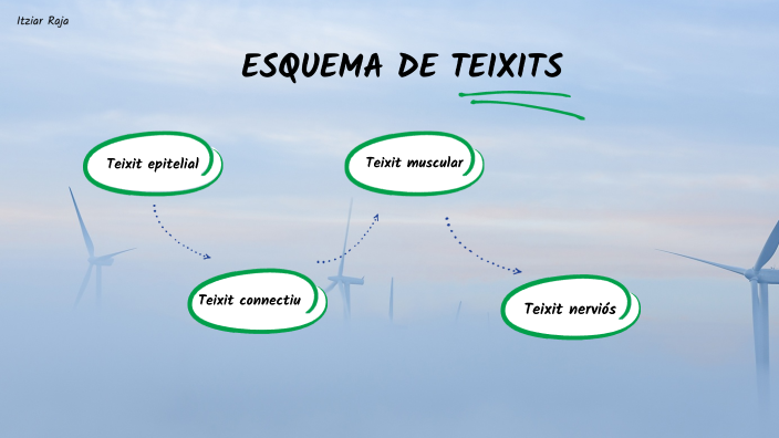 ESQUEMA TEIXITS by Itziar Raja