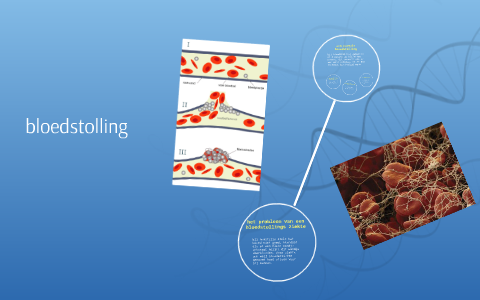 bloedstolling en uitscheiding by Daan Stakenburg on Prezi
