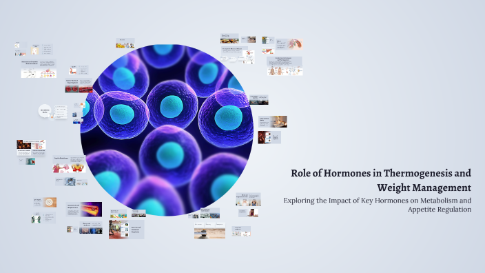 Role of Hormones in Thermogenesis and Weight Management by Manha Waheed ...