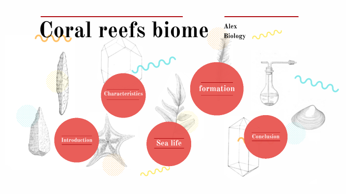 coral reefs biome by Alejandra Yusty on Prezi