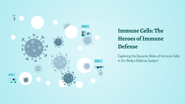 Immune Cells: The Heroes of Immune Defense by Aya Elsayed on Prezi