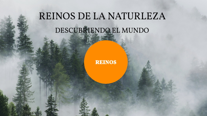 PRACTICA by david solarte cicloIV on Prezi