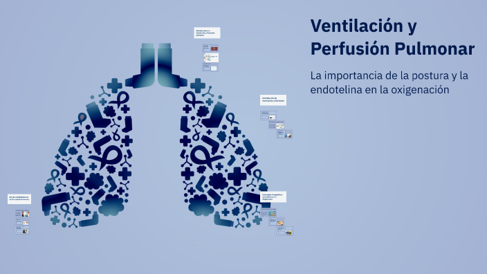 Ventilación y Perfusión Pulmonar by judith gomez on Prezi