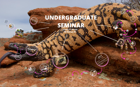 Venomous Lizard’s drool a treatment for diabetes and compuls by Jeremy ...