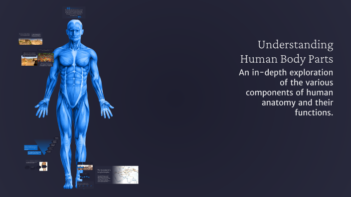 Understanding Human Body Parts by Hazel Bogart on Prezi