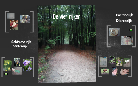 Het schimmelrijk by chloe bouwhuis on Prezi