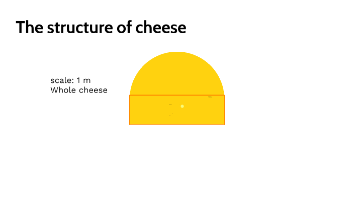 The structure of cheese by Eline Hoedemaker on Prezi