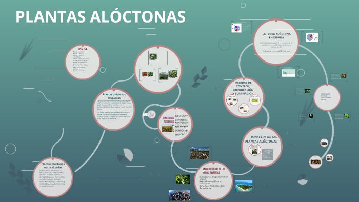 Plantas Aloctonas by Alfonso Arranz on Prezi Next