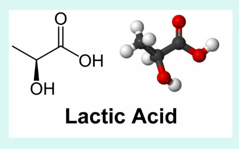 Lactaat by Steven Heemskerk on Prezi