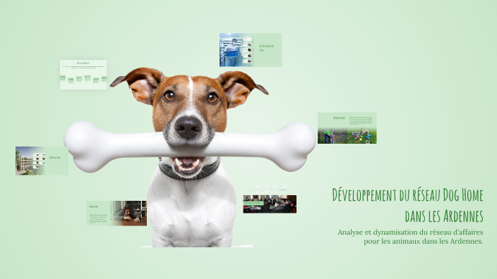 Développement du réseau Dog Home dans les Ardennes by tom pierre on Prezi