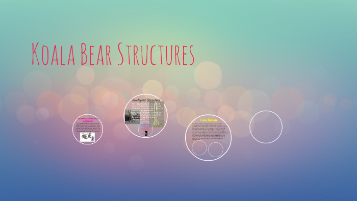 Koala Bear Structure by Alaina B on Prezi