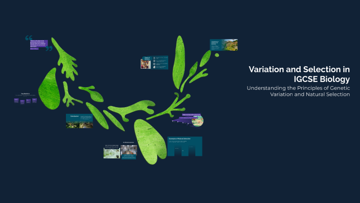 Variation and Selection in IGCSE Biology by Iram Khan on Prezi