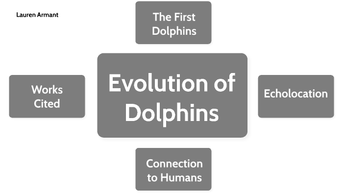 Evolution of Dolphins by Lauren Armant on Prezi