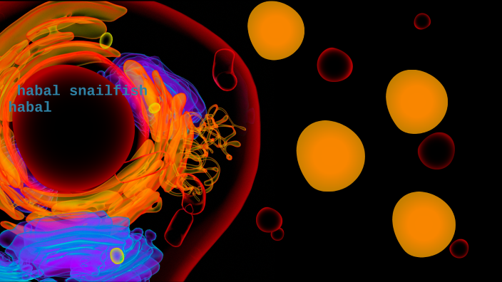 HADAL SNAILFISH by natalina cedallos on Prezi