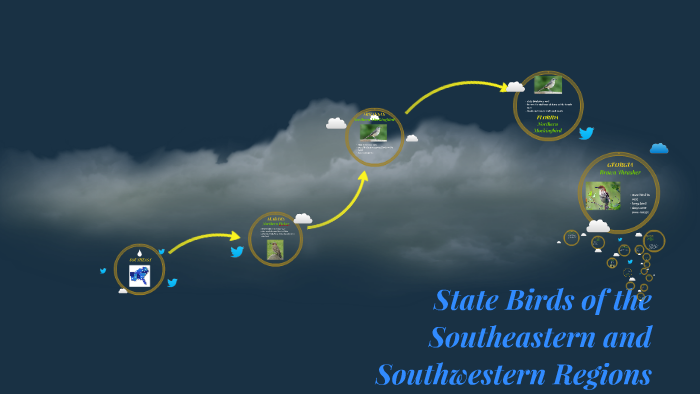 State Birds of the Southeastern and Southwestern Regions by Nicholas ...