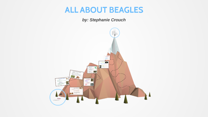 Beagles by Stephanie Crouch on Prezi